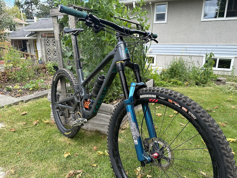 2021 Forbidden Druid V1 For Sale