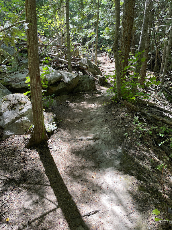 Syphon Falls Trail Hiking Trail - Salmon Arm, BC