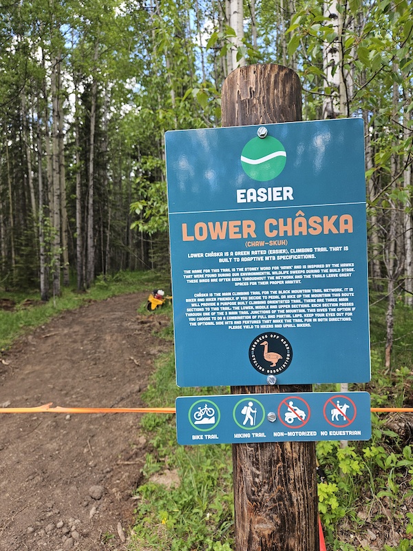 Lower Châska Mountain Biking Trail - Nordegg, Alberta