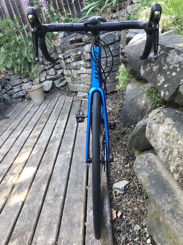 2021 TCR Advanced Pro 2 Disc (Large) For Sale