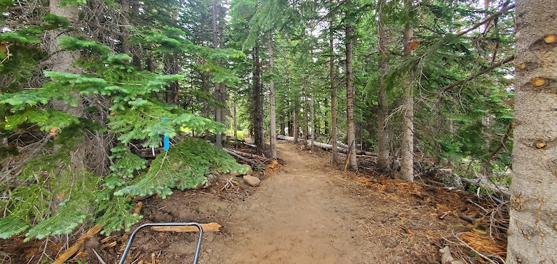 Eazy Peazy Mountain Biking Trail - Greer, Arizona