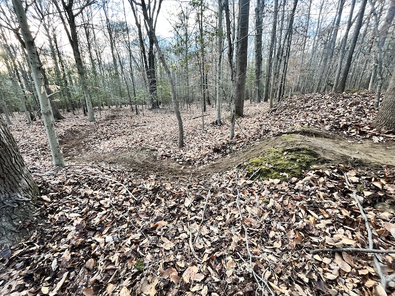 Rusted Rake DH Mountain Biking Trail - Pinery Orchard
