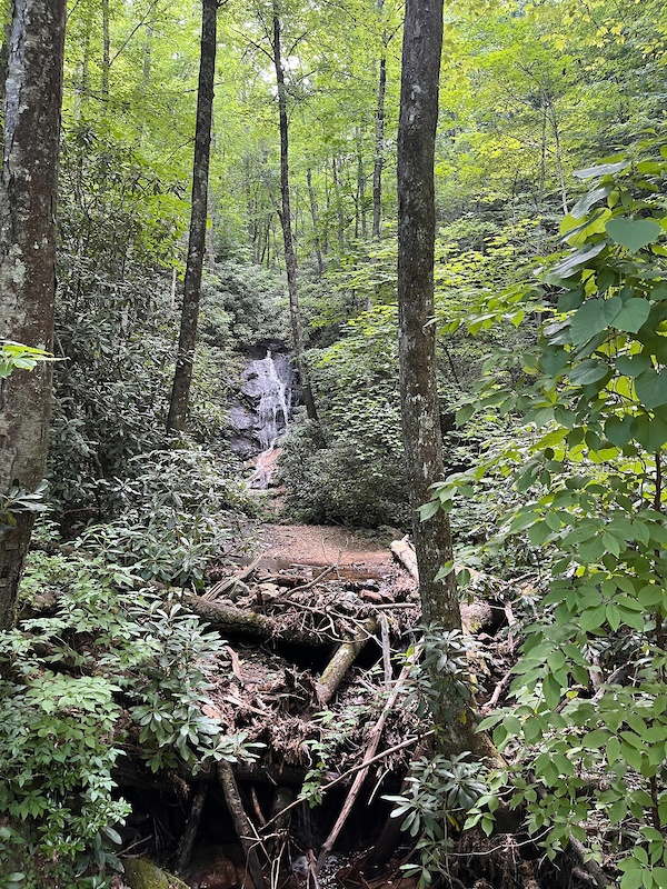 Log Hollow Falls Trail Hiking Trail - Brevard, NC