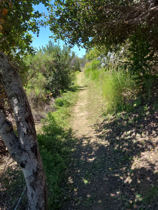 Waterworks Mountain Biking Trails | Trailforks