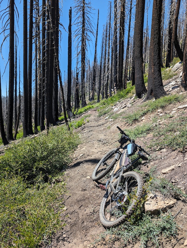 Summit Trail (Mule Meadow to Windy Gap) Multi Trail - Kernville