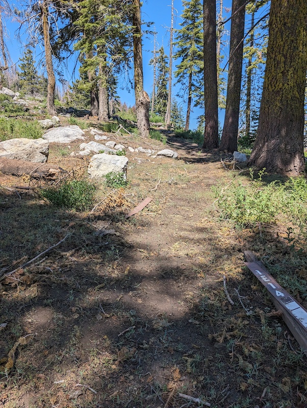 Summit Trail (Mule Meadow to Windy Gap) Multi Trail - Kernville