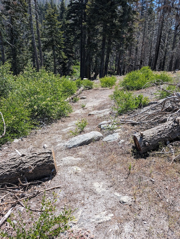 Summit Trail (Mule Meadow to Windy Gap) Multi Trail - Kernville