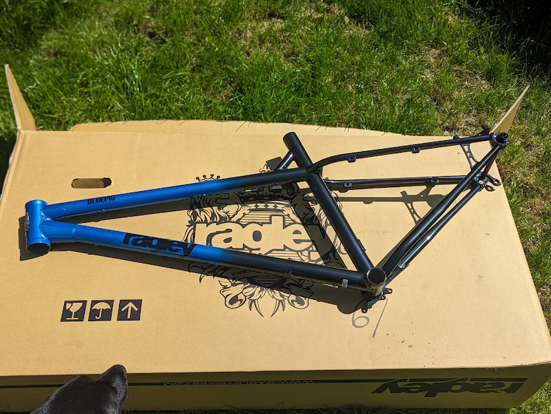 2022 Ragley Blue Pig Race Frame Medium BNIB For Sale