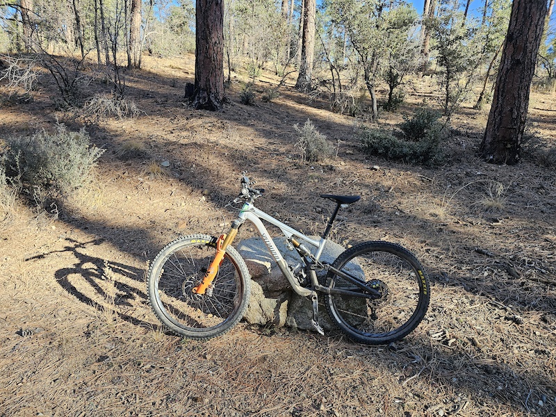 2022 Wanted - 22-24 Specialized Carbon SJ EVO Frame For Sale