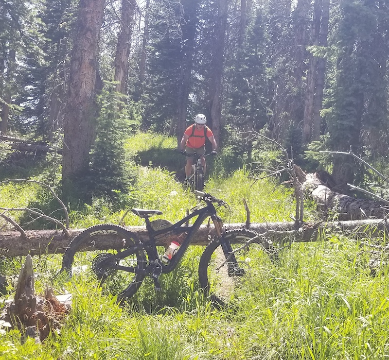 CDT - North Cumbres Pass Multi Trail - - Colorado