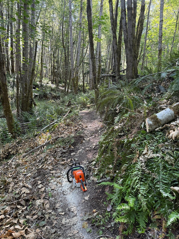 Heavy Nettle Mountain Biking Trail - Bonney Lake, WA