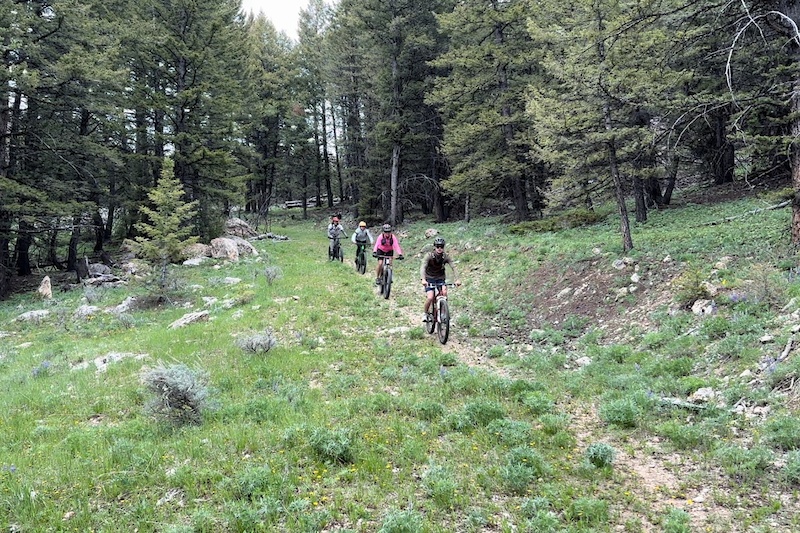 Highlark Trail Mountain Biking Trail - Tensleep, WY