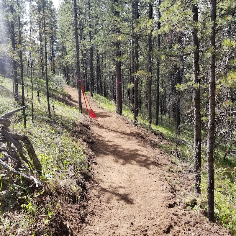 Many Hands Mountain Biking Trail - Bragg Creek, Alberta