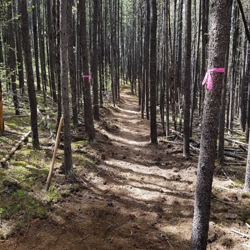 Many Hands Mountain Biking Trail - Bragg Creek, Alberta