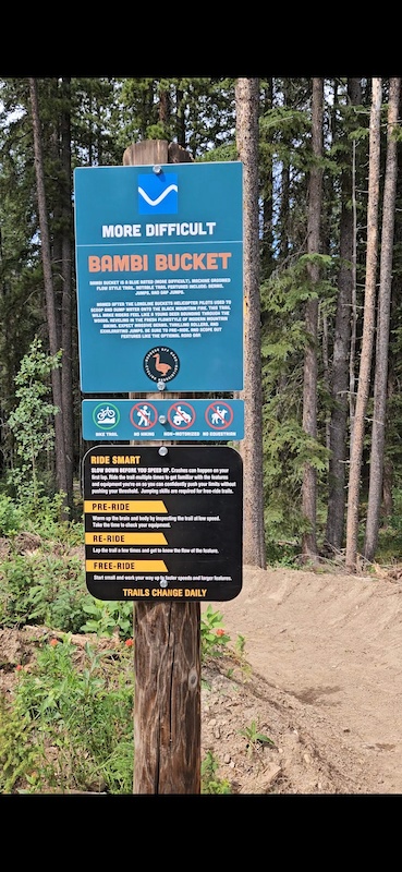 Bambi Bucket Mountain Biking Trail - Nordegg, Alberta