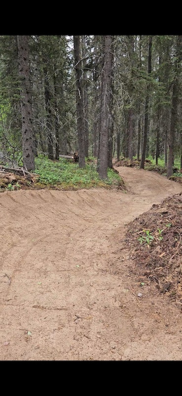 Bambi Bucket Mountain Biking Trail - Nordegg, Alberta