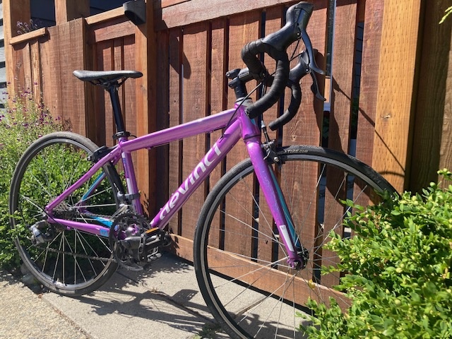 Devinci Rocket XP Youth 24 inch wheels For Sale