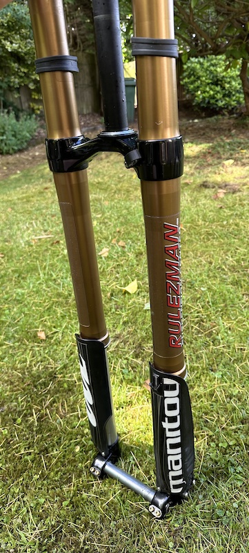 2012 Rulezman Dorado For Sale