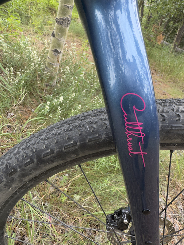 2023 Salsa Cutthroat AXS GX 54CM blue/pink For Sale