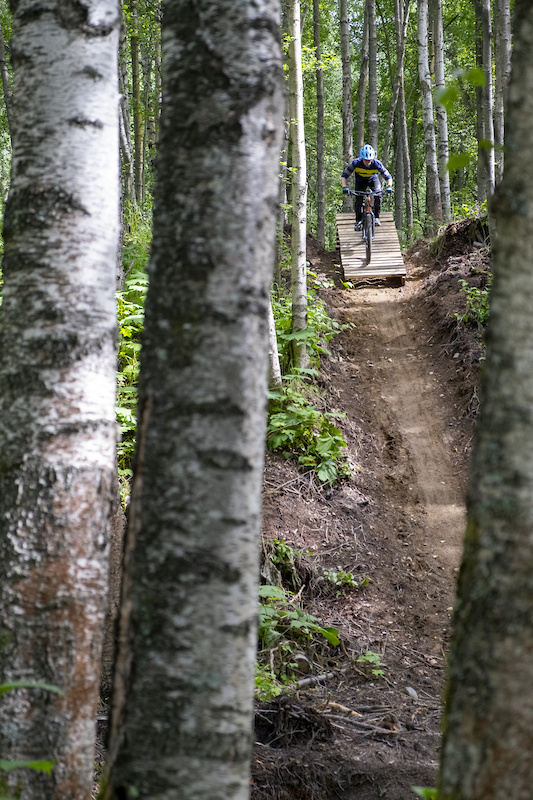 Proboscis Multi Trail - Anchorage, Alaska | Trailforks