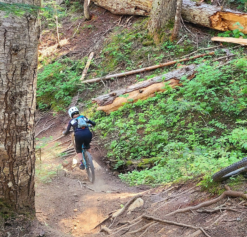 Patrol Rocks Mountain Biking Trail - Whistler, BC