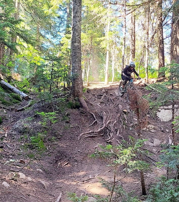 Patrol Rocks Mountain Biking Trail - Whistler, BC