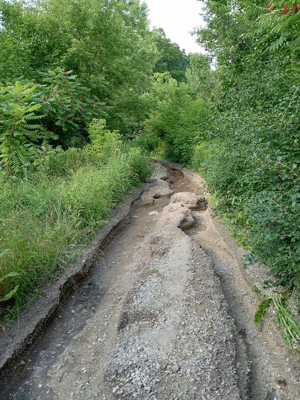 Sun Valley Loop Mountain Biking Trail - Toronto, Ontario