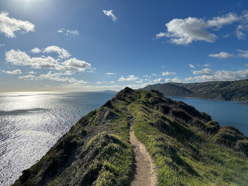 Makara Walkway Hiking Trail - Wellington | Trailforks