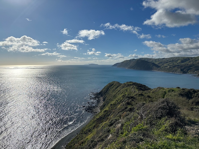 Makara Walkway Hiking Trail - Wellington | Trailforks