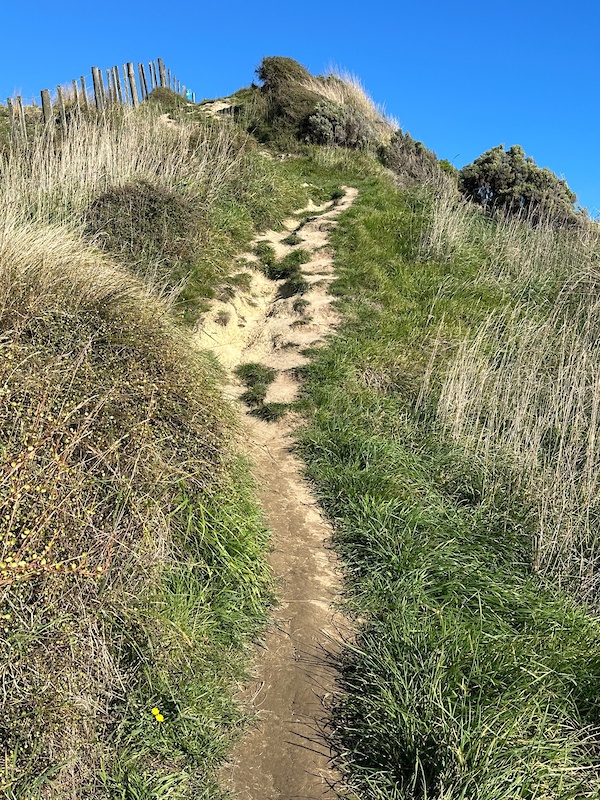 Makara Walkway Hiking Trail - Wellington | Trailforks
