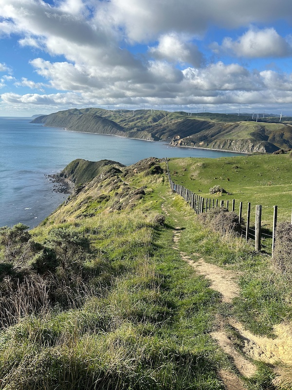 Makara Walkway Hiking Trail - Wellington | Trailforks