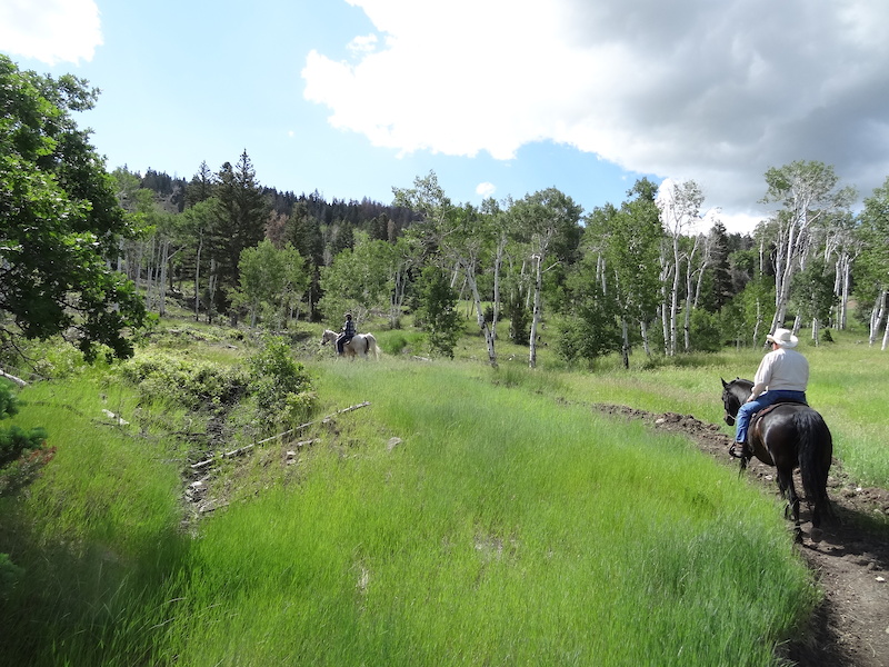 Templar Trail Mountain Biking Trail - Ephraim, UT