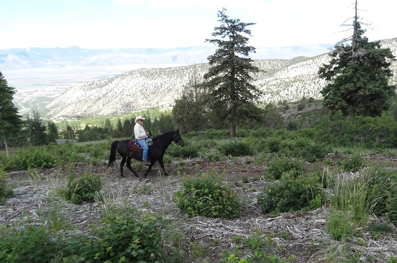 Templar Trail Mountain Biking Trail - Ephraim, UT