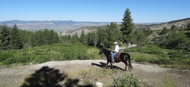 Templar Trail Mountain Biking Trail - Ephraim, UT