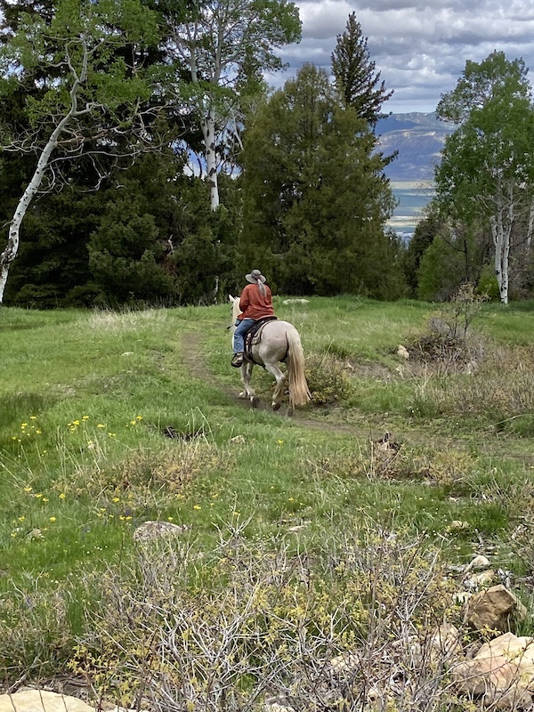 Templar Trail Mountain Biking Trail - Ephraim, UT