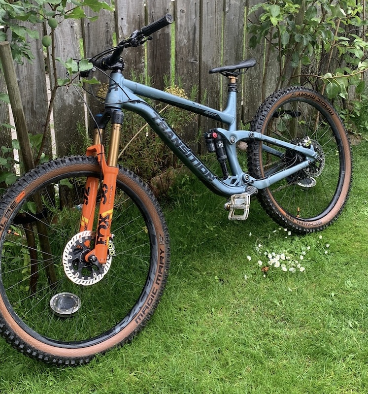 2019 Large transition scout For Sale