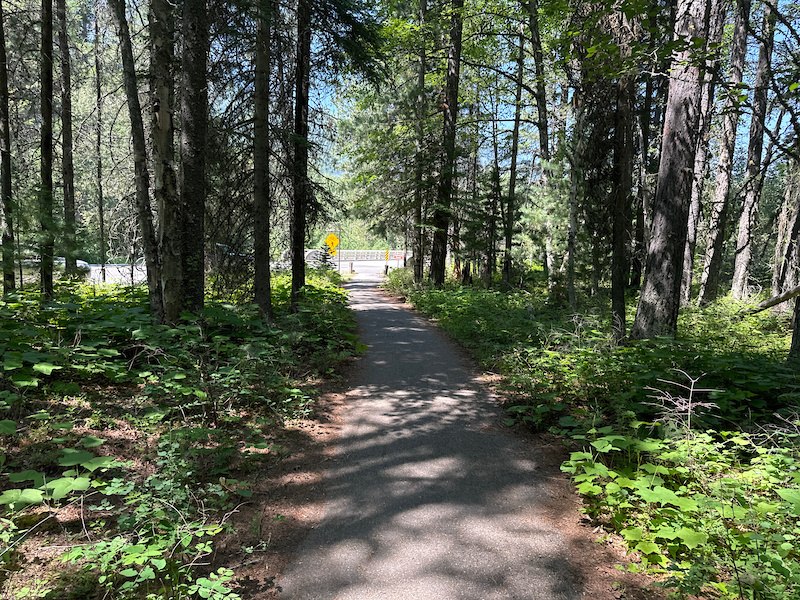 Apgar Bike Trail Multi Trail - Apgar, MT | Trailforks