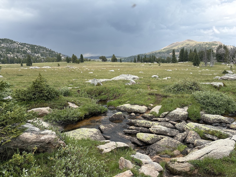 Beartooth Loop/Houser Lake Trail Multi Trail - Cody