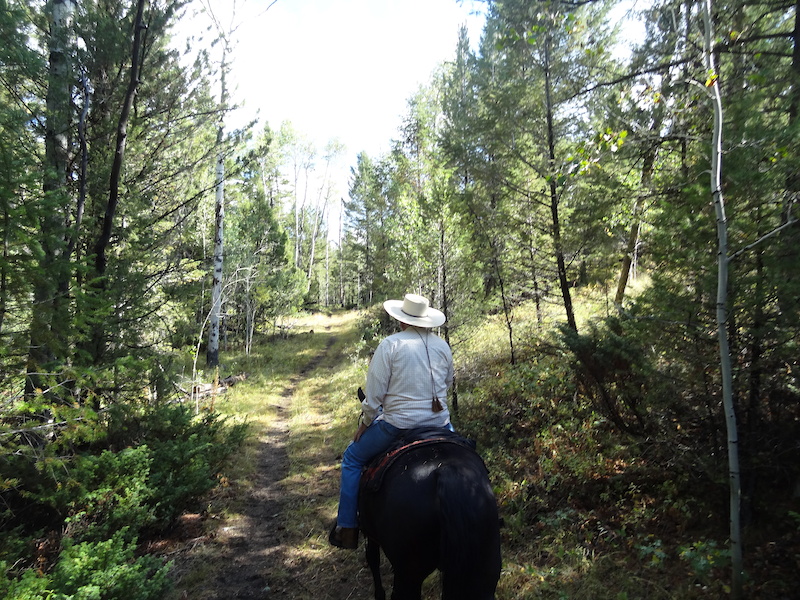 Chambers Bay Trail Mountain Biking Trail - Pinedale