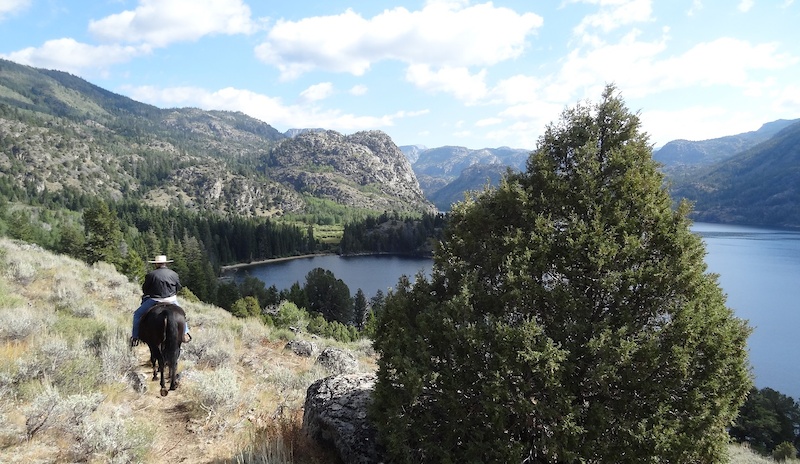 Chambers Bay Trail Mountain Biking Trail - Pinedale