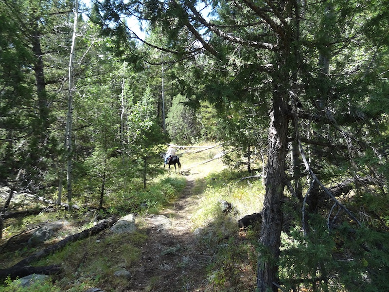 Chambers Bay Trail Mountain Biking Trail - Pinedale