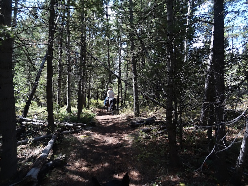 Chambers Bay Trail Mountain Biking Trail - Pinedale