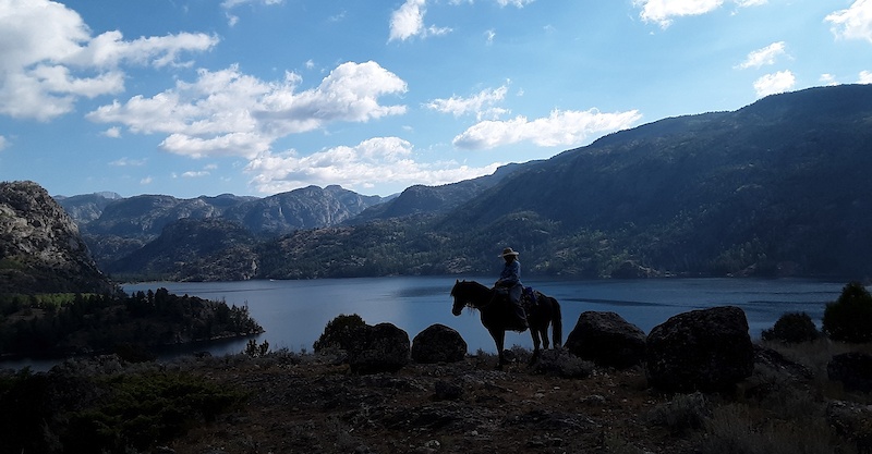Chambers Bay Trail Mountain Biking Trail - Pinedale