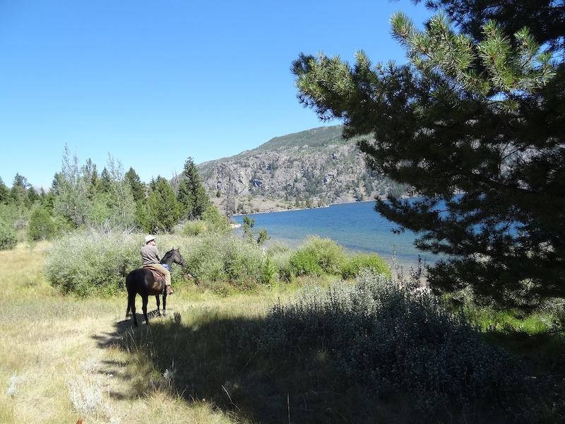 Chambers Bay Trail Mountain Biking Trail - Pinedale
