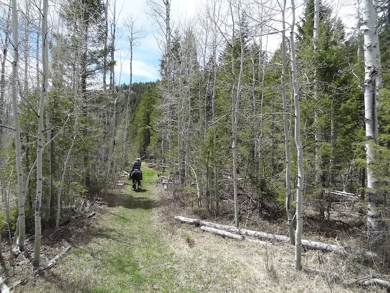 Chambers Bay Trail Mountain Biking Trail - Pinedale