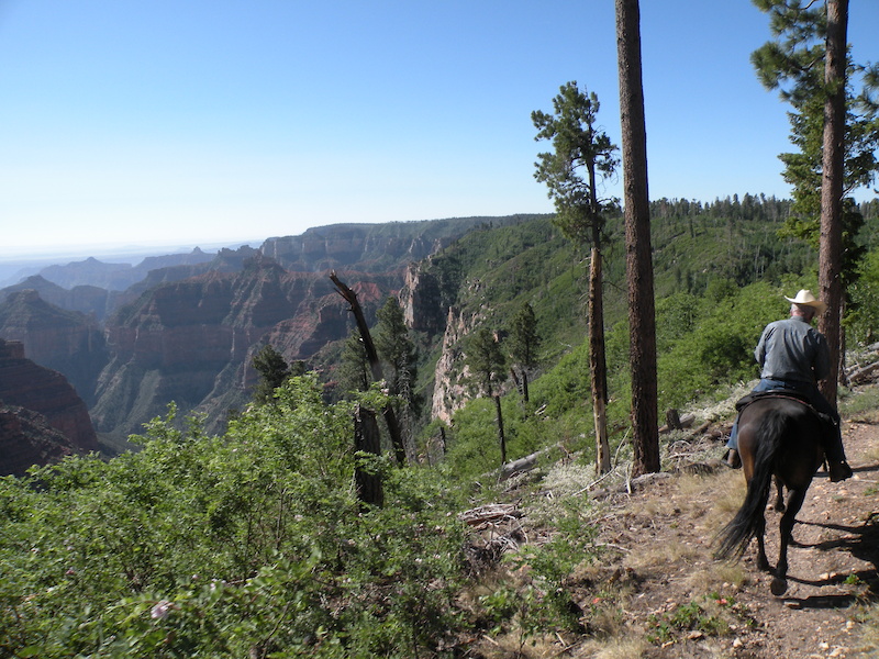 Ken Patrick Trail Hiking Trail - North Rim, AZ
