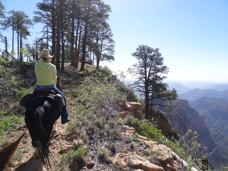 Ken Patrick Trail Hiking Trail - North Rim, AZ