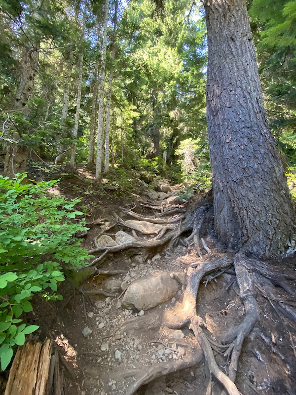 Rachel Lake Trail Hiking Trail - Leavenworth, Washington
