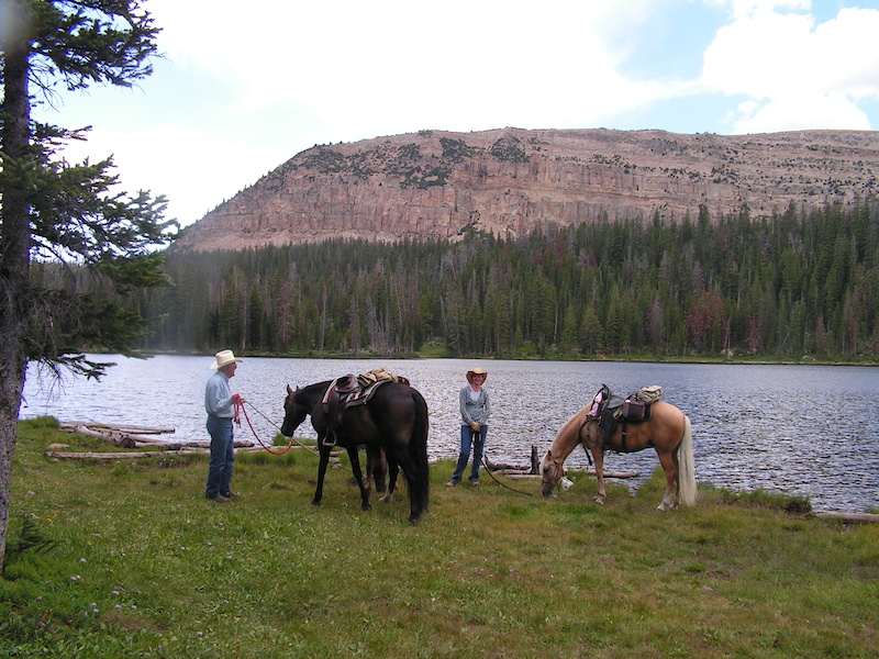Haystack Lake Trail Multi Trail - Kamas, Utah
