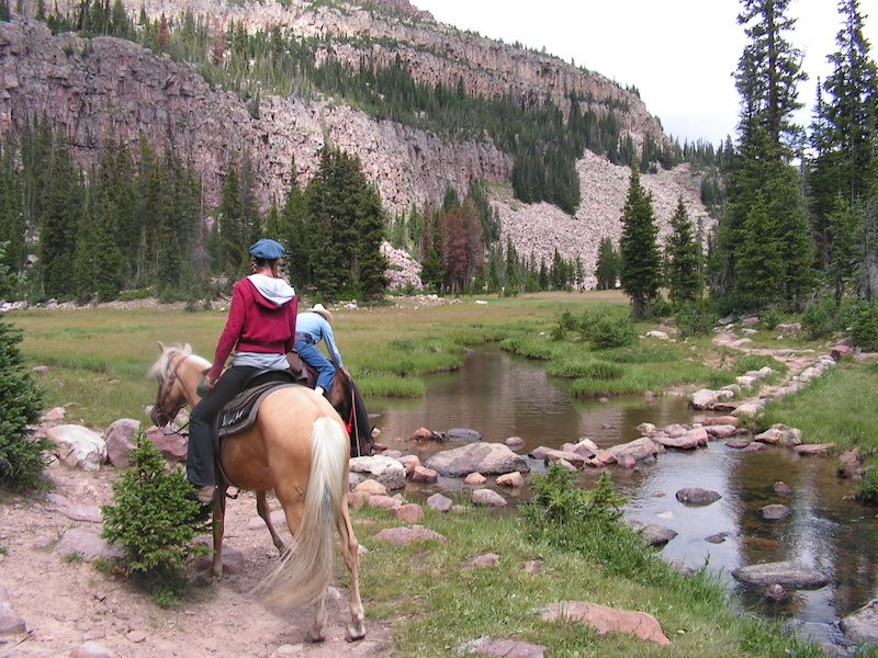 Naturalist Basin Trail Multi Trail - Kamas, Utah
